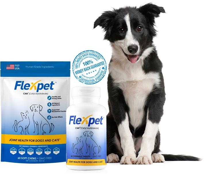 All Products – Flexpet